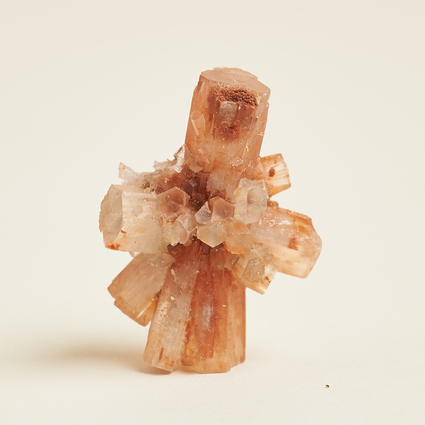 Aragonite zodiac 60 photos - Youhoroscope.com
